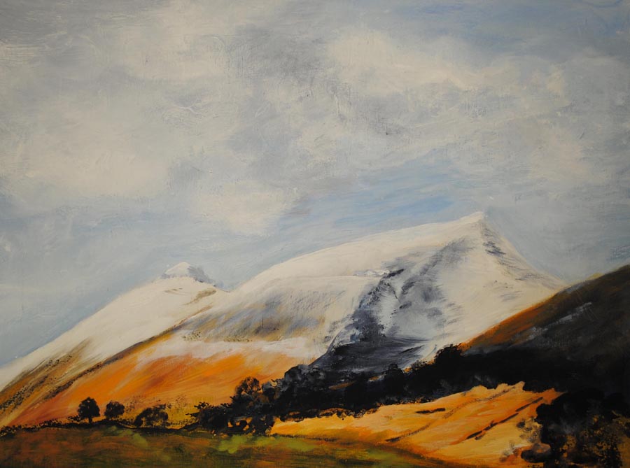 The Art || Art in Felton